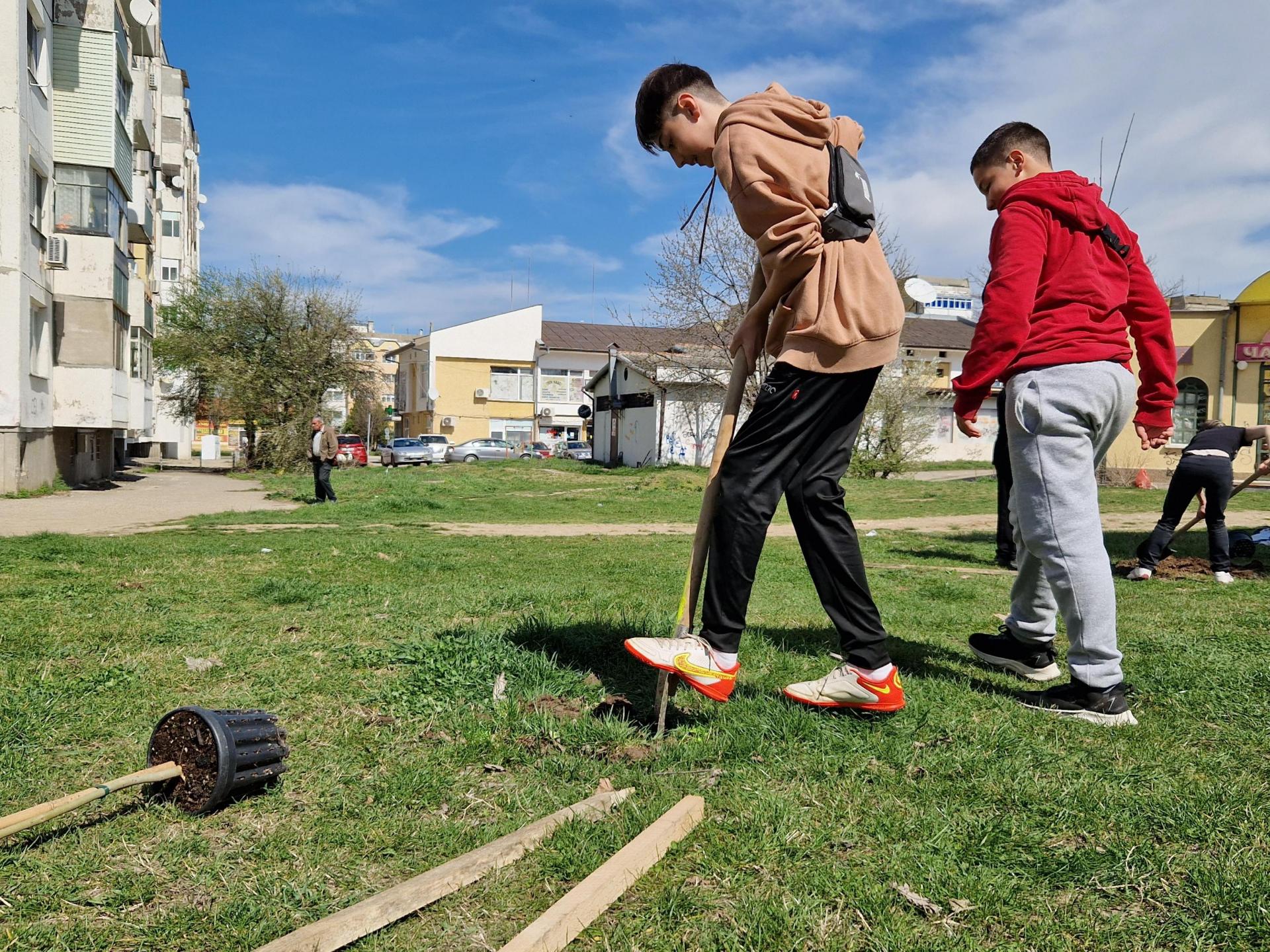 20 young trees were planted in ''Charodeika'' district | Ruse Municipality